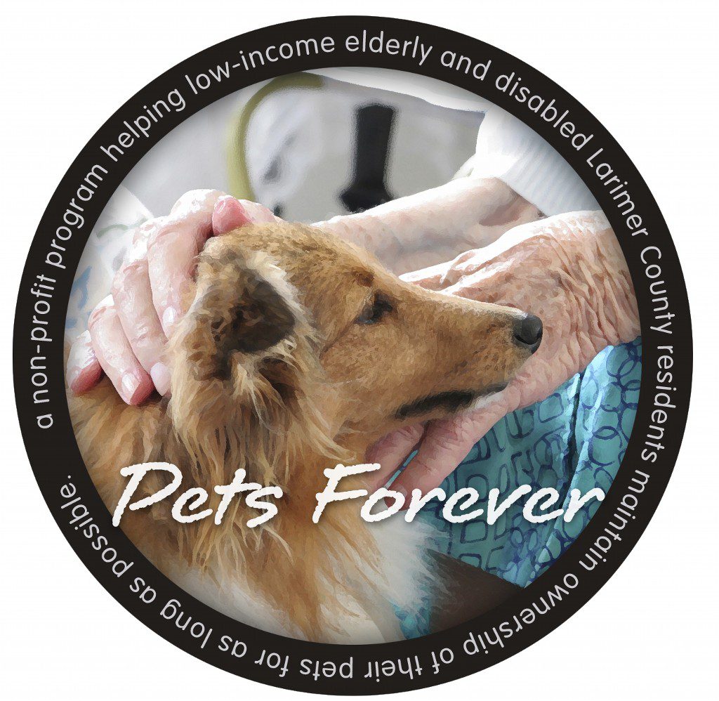HeidiTown Gives Back: Pets Forever