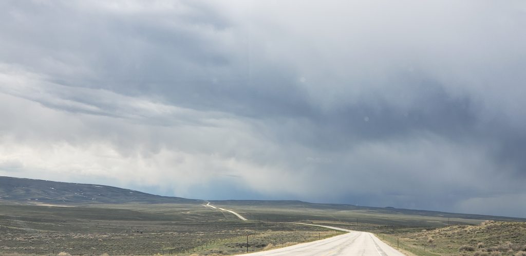 The Themed Road Trip: A Fun Way to Travel